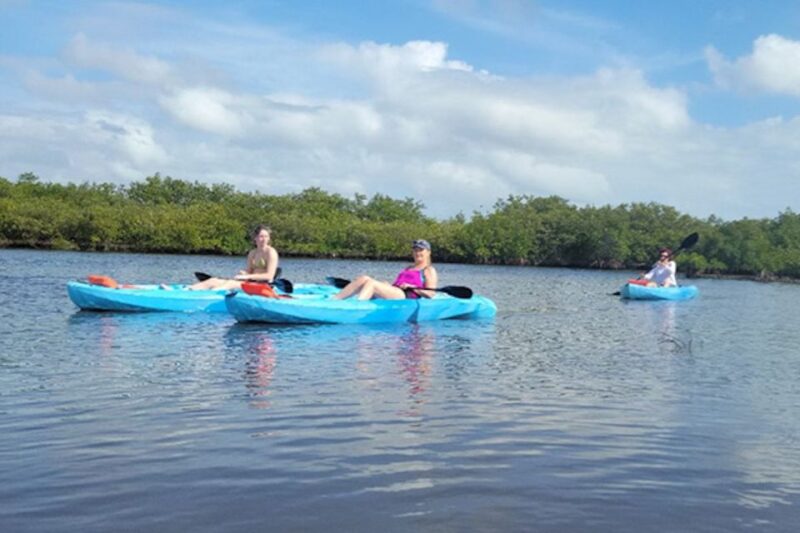 Naples, FL: Guided Standup Paddleboard or Kayak Tour - FAQs