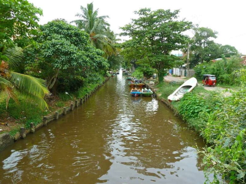 Negombo:Dutch Canal, Lagoon, Muthurajawela Private Boat Tour - Final Thoughts