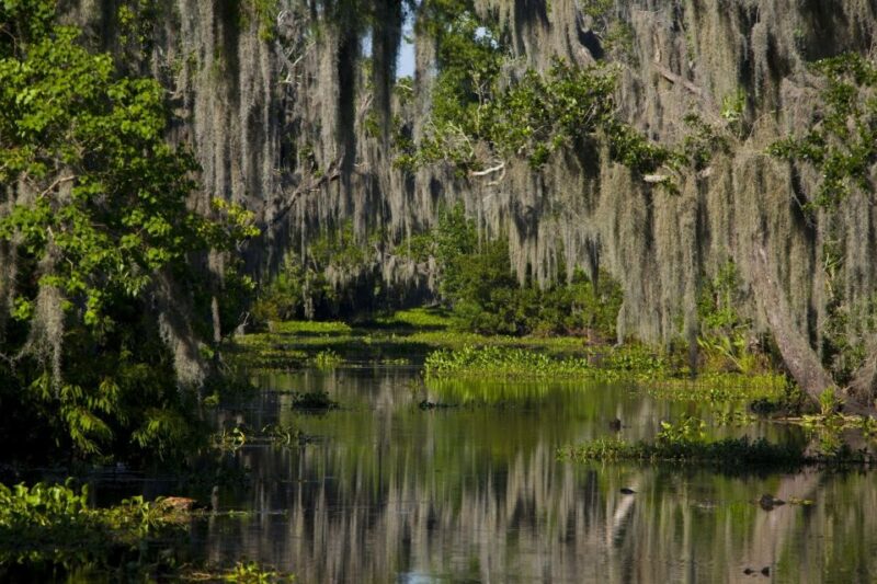 New Orleans: High Speed 16 Passenger Airboat Ride - The Itinerary in Detail