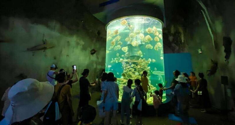 Nha Trang: Half-Day City Tour with Local Lunch - The Value for Your Money