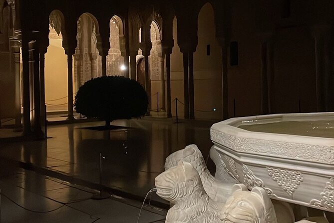 Night tour of the Alhambra and the Nasrid Palaces - FAQ