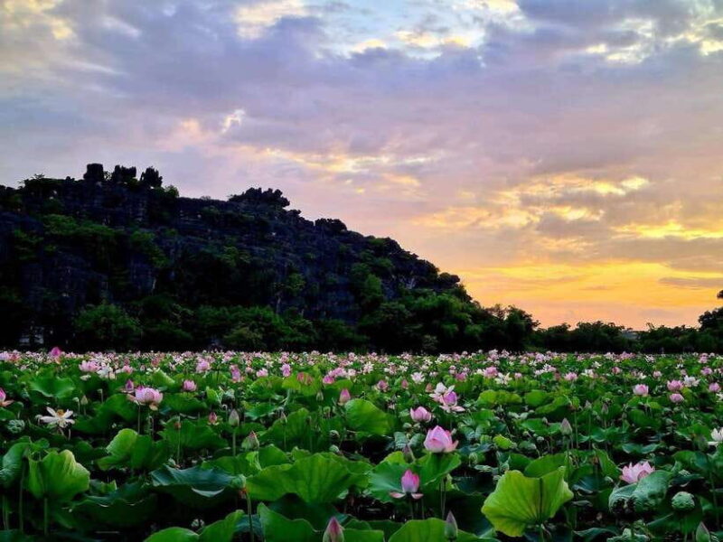 Ninh Binh: Hoa Lu- Trang An- Mua Cave Small Group Daily Tour - Who Should Consider This Tour?