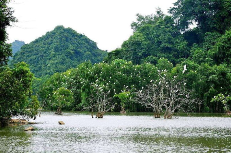 Ninh Binh Jeep Tour: Tam Coc HIGHTLIGHTS & HIDDEN GEMS - The Experience: What Travelers Say