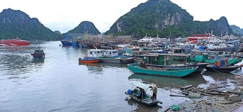 Nontouristy Bai Tu Long day cruise from Hanoi - What to Expect in Practice