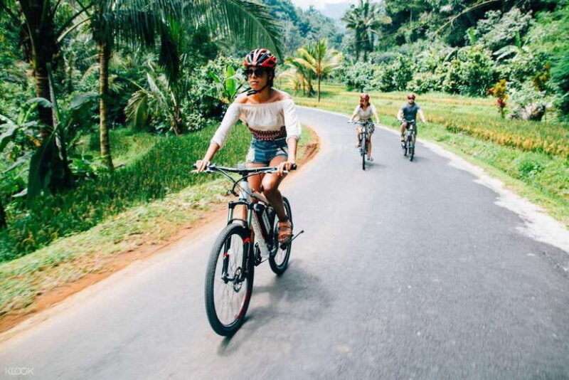 North Bali: Private Guided 4x4 Jeep, Cycling & Hot Spring - Authentic Experiences and Real-World Feedback
