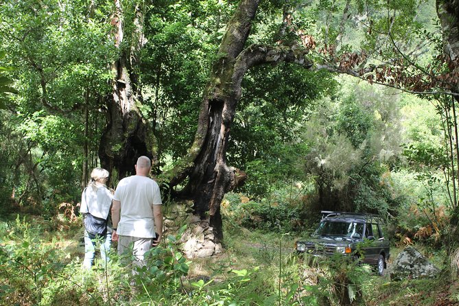 North Tour & Wine Tasting - 4x4 (Small Groups) - Who Is This Tour Best For?