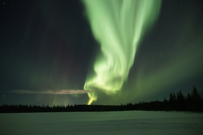 Northern Lights Hunting Photo Tour in Levi - What We Learned from Reviews