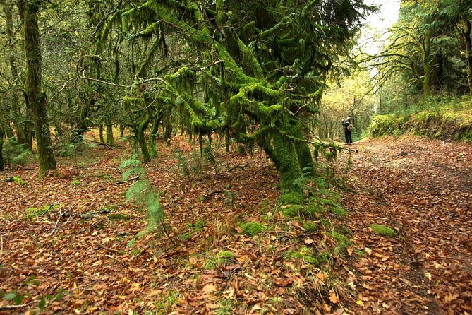 Nozzle Horn Protected Landscape Area - In The Sum Up