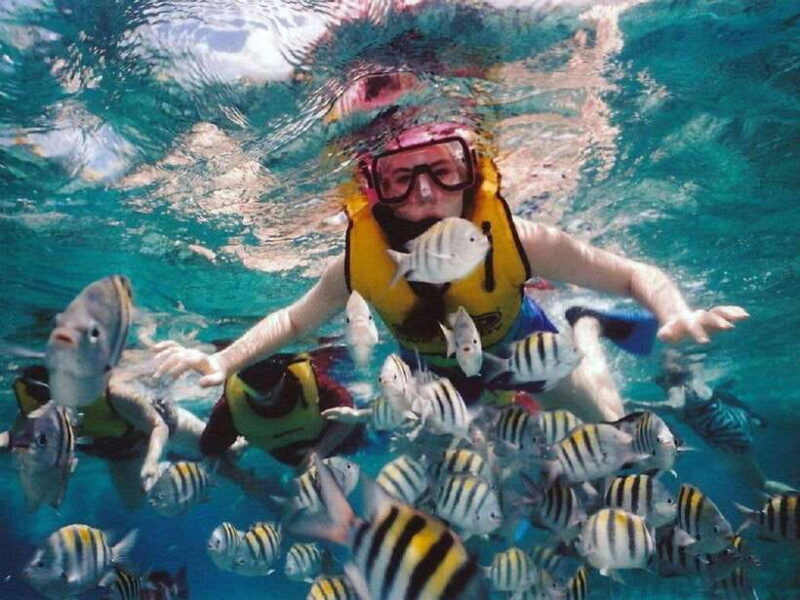 Nusa Dua: Tanjung Benoa Snorkeling Tour with Pickup Options - Whats Included and Whats Not
