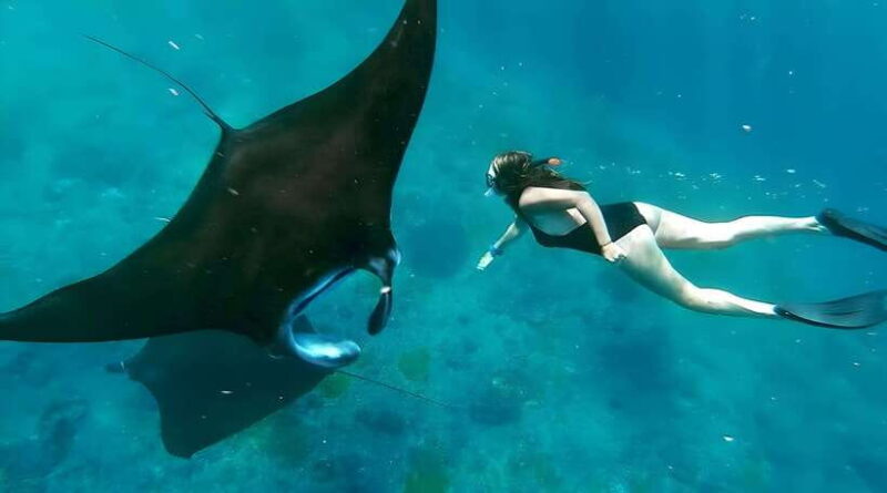 Nusa Penida: Snorkeling Tour with Transfers from Sanur - The Experience: What You’ll Actually Feel and See