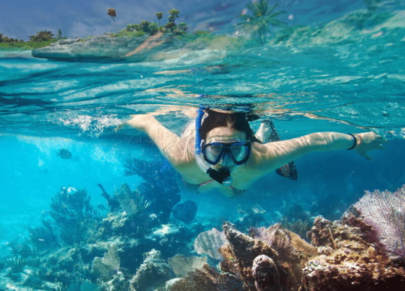 Nusa Penida: Spend time snorkeling with rays and turtles - Insights from Travelers