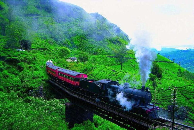 Nuwara Eliya: Guided Tour with Tea Factory Visit - FAQs