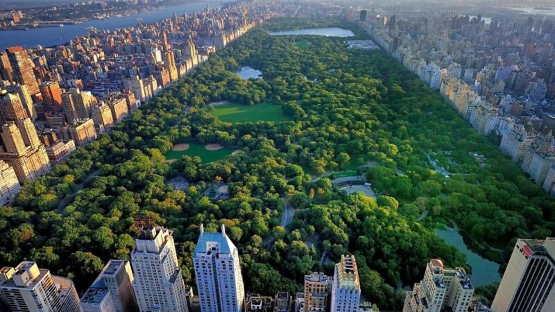 NYC Central Park Pedicab Tours - The Experience of the Guides