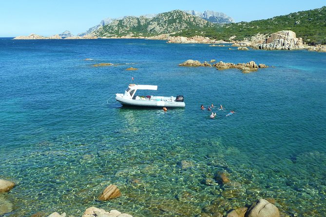 Observation of Dolphins and Snorkeling in a rubber boat in Olbia - Frequently Asked Questions