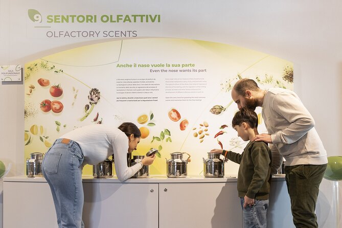 Oil museum and oil mill in Tuscany: tour and tasting - Who Will Love This Tour?