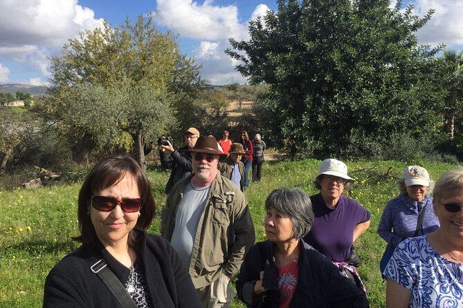 Olive Oil Tasting & Historic Olive Mill Tour in Ragusa area - The Sum Up