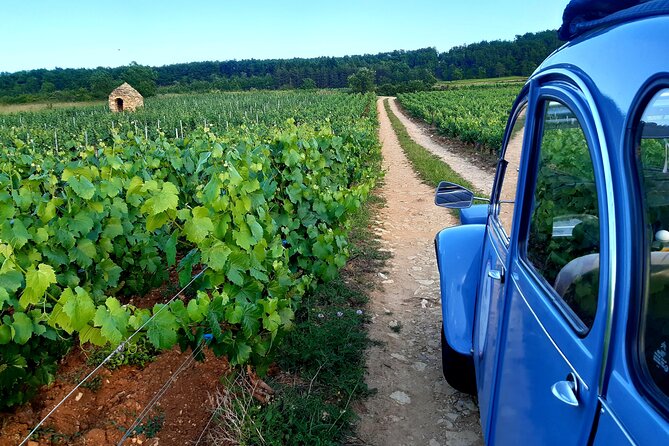 On the Road Again - What Travelers Are Saying