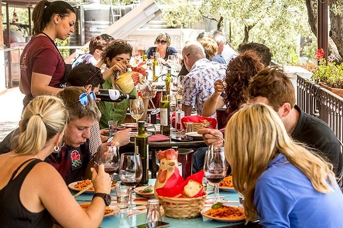 Organic Wine Tasting & Lunch on Vesuvius with Transfer from Sorrento Peninsula - Who Should Book This Tour?