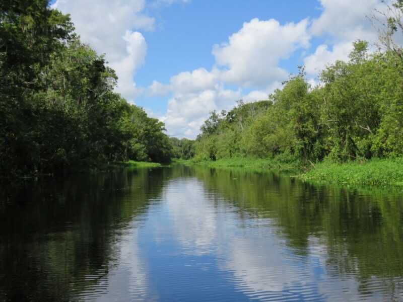 Orlando: Small Group Manatee Discovery Kayak Tour - What’s Included and Considerations