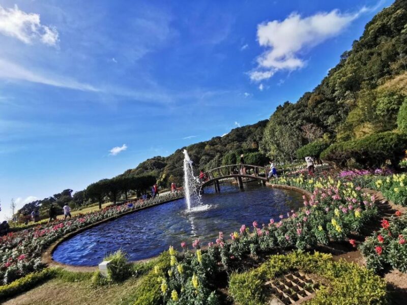 Pa Pong Piang Rice Terraces & Doi Inthanon National Park - What Past Travelers Say