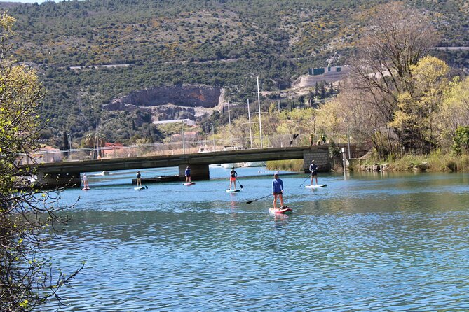 Paddleboarding on River Ombla - Final Thoughts: Who Should Consider This Tour?