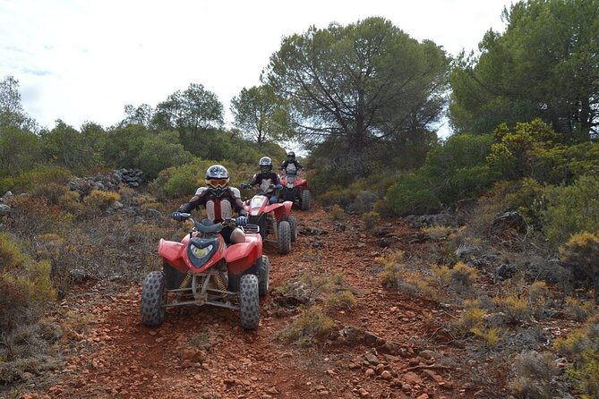 Paderne Adventure Quad Ride - What the Reviews Say