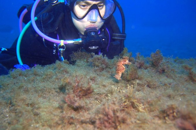 PADI ReActivate, Refresh your scuba skills! - FAQs