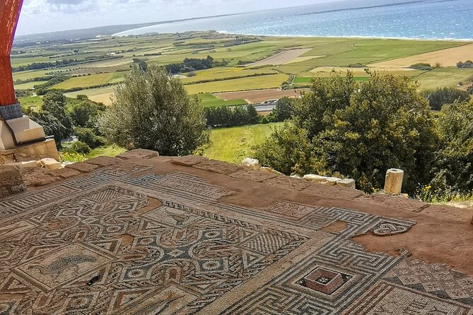 Pafos - Archaeology & Beauty tour from Limassol - Final Thoughts