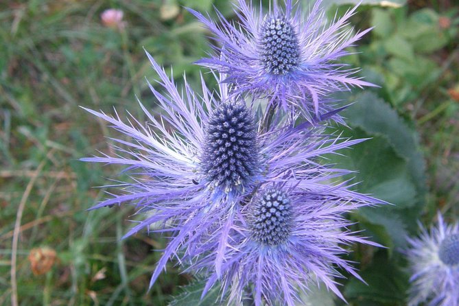 Paklenica National Park Admission Ticket - FAQ