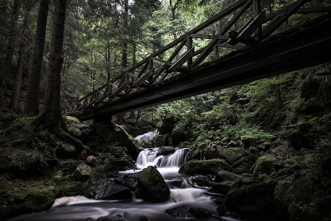 Panorama Hike through the Black Forest guided by a Local - What Makes This Tour Special