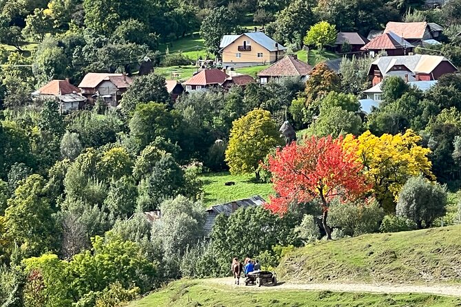 Peles castle and authentic Romanian village experience - day trip - Who Should Consider This Tour?