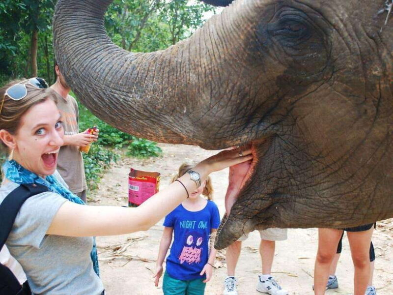 Phnom Tamao Wildlife Center & Buddha Kiri Cambodia Day Tour - Exploring Tonle Bati and the Ta Prohm Temple