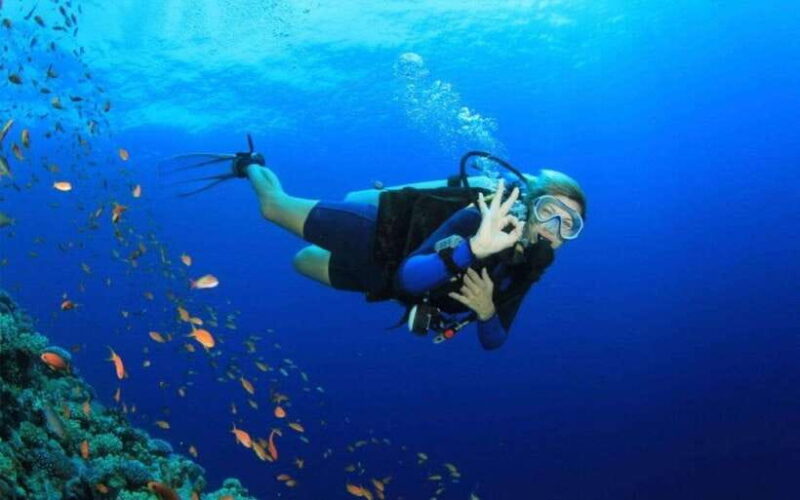 Phu Quoc : Scuba Diving and Parasailing at Roi Island - Practical Details