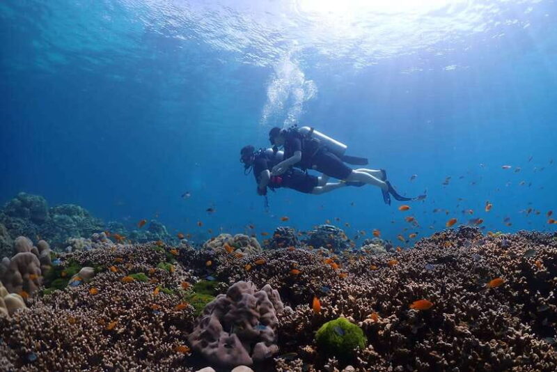 Phuket: Discover Scuba Diving to Racha Yai Island - What’s Included and Why It Matters