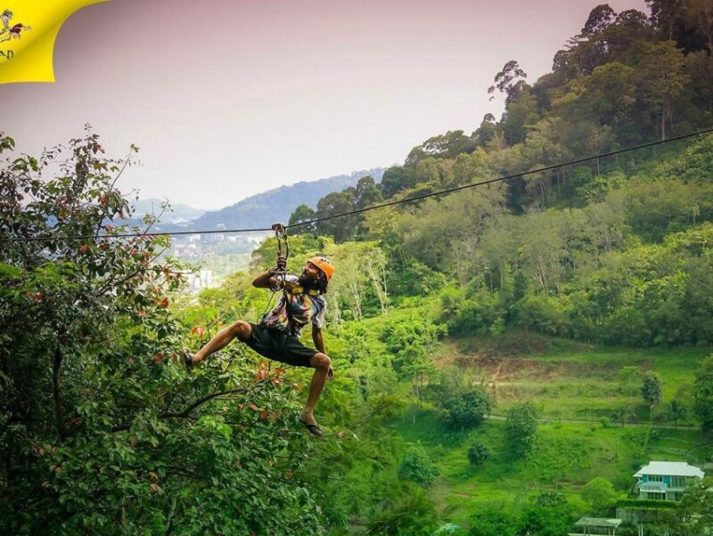 Phuket Skyline Adventure Ziplines - Who Would Love This?