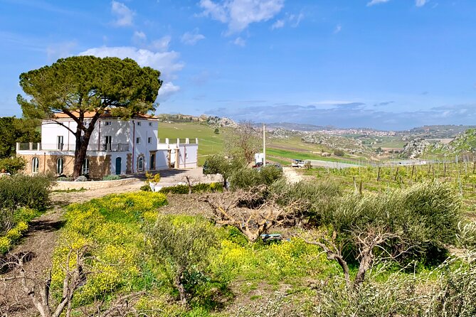 PIAZZA ARMERINA and WINERY - Private Tour starting from Agrigento - Final Thoughts: Why Choose This Tour?