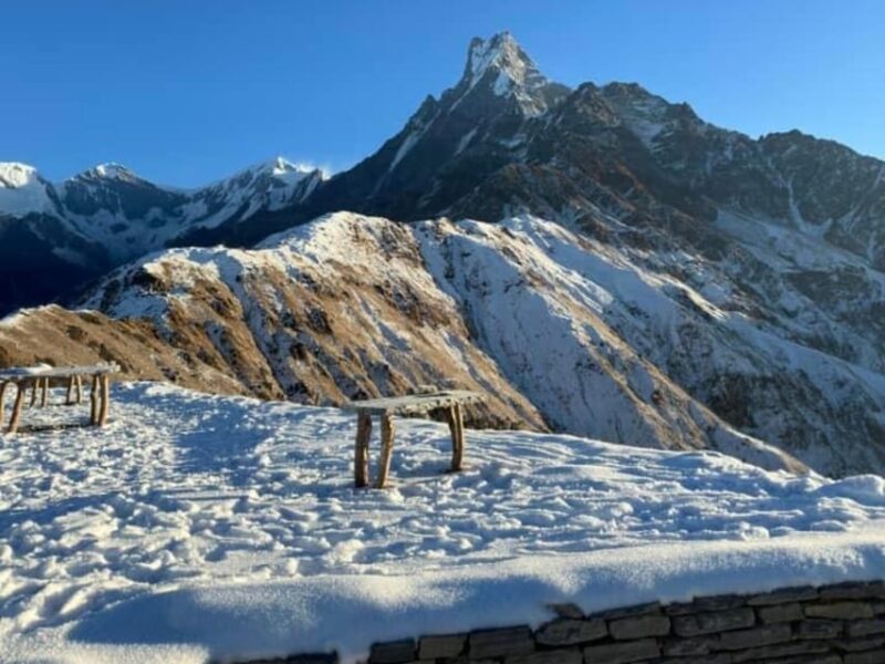 Pokhara: 4-Day Mesmerizing Mardi Himal Guided Trek - Detailed Breakdown of the 4-Day Itinerary
