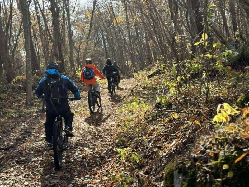 Pokhara: Enduro Mountain Biking Adventure with Lunch - The Logistics: How It Fits into Your Trip