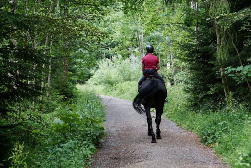 Pokhara: Horseback Adventure - FAQ