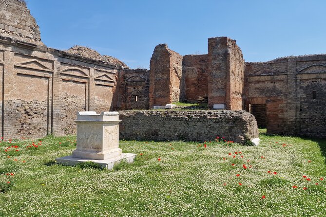 Pompeii Private Tour from Naples - The Experience Provider: Rome Italy Explora