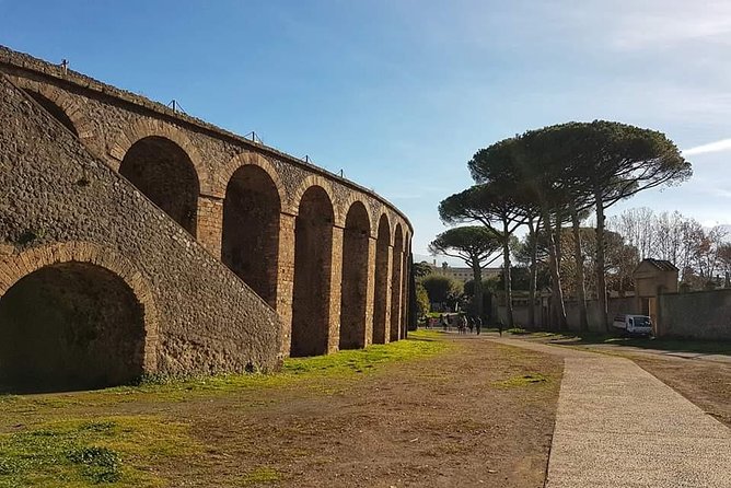Pompeii Ruins: Day Trip from Naples with skip the line ticket - Who Should Consider This Tour?