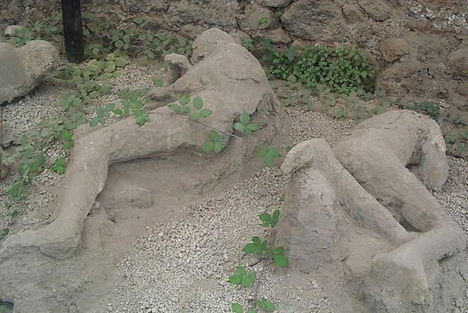 Pompeii Ruins visit for 3 hours (round-trip included) - What Youll See and Do