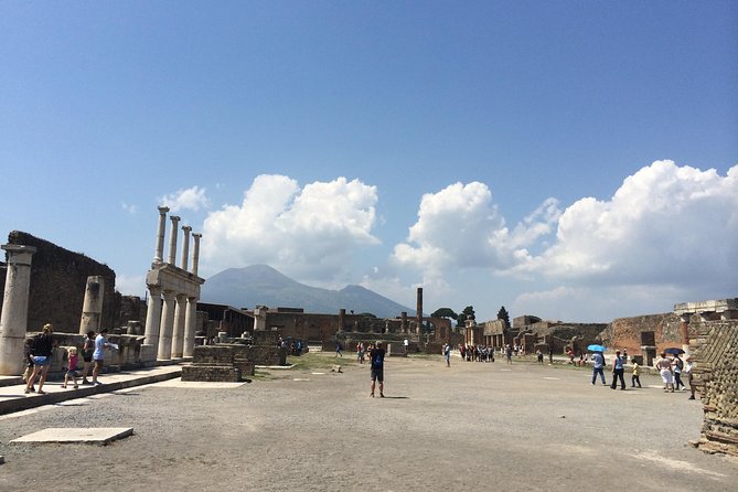 Pompeii-Wine tasting tour from Sorrento, licensed guide included - Who is This Tour Best For?