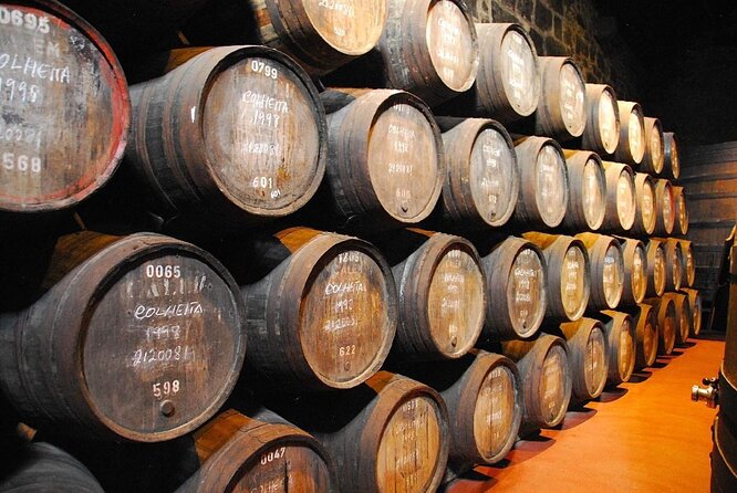 Porto: 3-Hour Old Town & Riverside Bike Tour - Guided Experience - The Value of the Experience