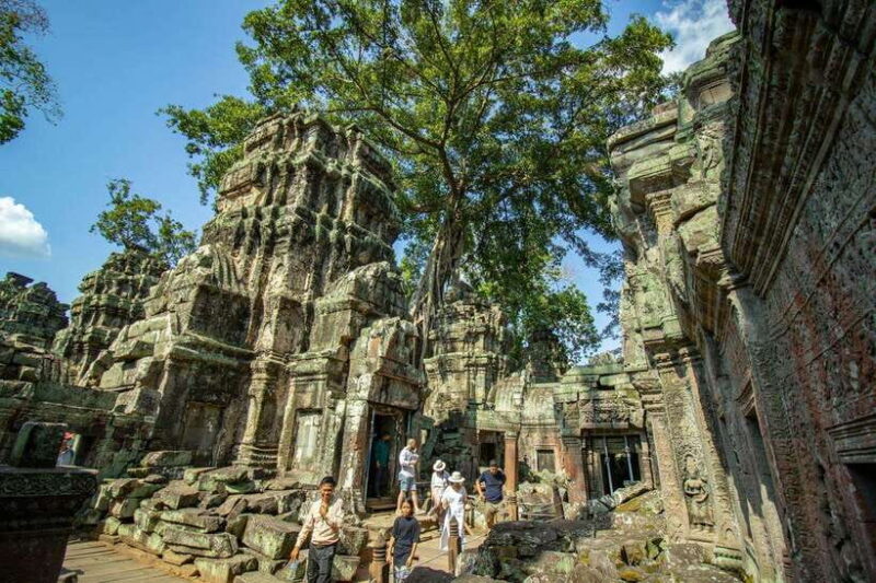 Private Angkor Wat Sunrise Tour with Breakfast and Snack - What We Loved and What to Consider