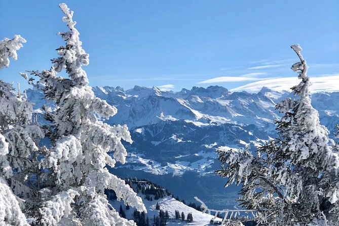 Private Day Trip in the Heart of the ALPS - Jungfrau Region - Final Thoughts