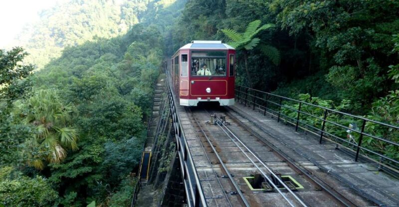 Private Full-Day Hong Kong Island Top Attraction Tour - Who Will Love This Tour?