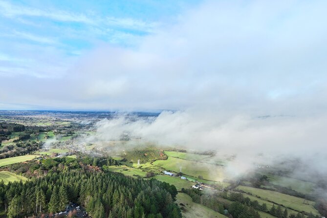 Private Garden of Ireland Wicklow Tour from Dublin - Who Should Consider This Tour?