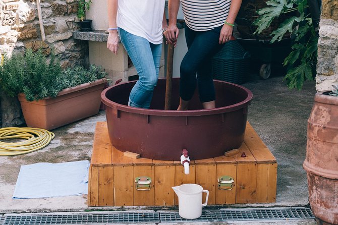 Private Grape stomping at Chianti Farmhouse - FAQ