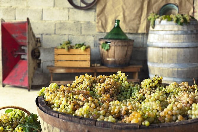Private Grape stomping in Chianti from Florence - The Sum Up: The Value of Authentic Tuscan Traditions
